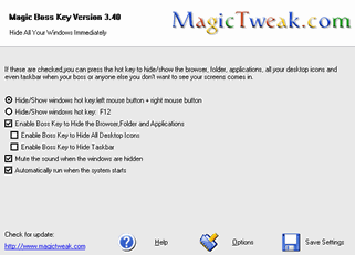 Hide Windows Taskbar Icons in Windows XP and Vista with Magic Boss Key ...